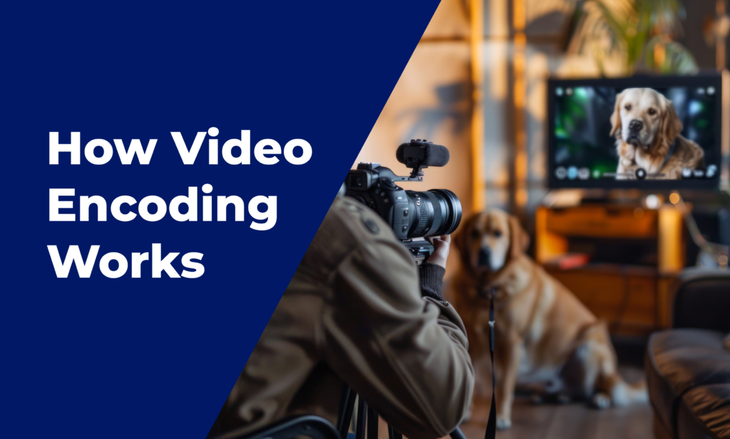 How Video Encoding Works? - Storm Streaming Blog